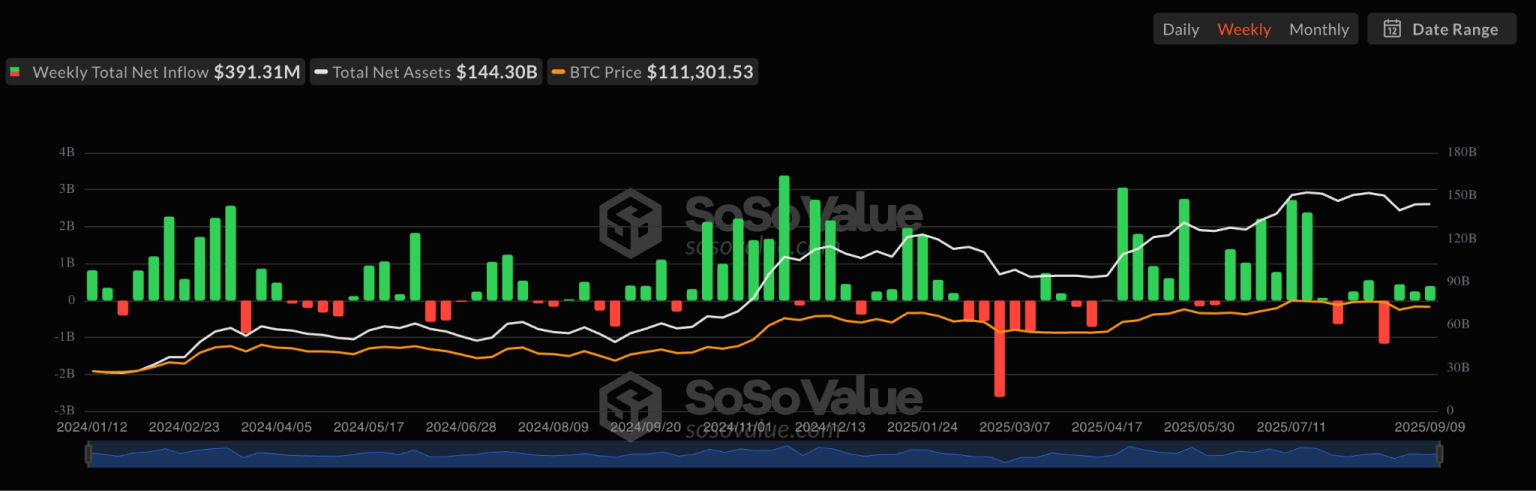 Bloomberg analyst tips 11 September launch for US spot Dogecoin ETF | ForkLog